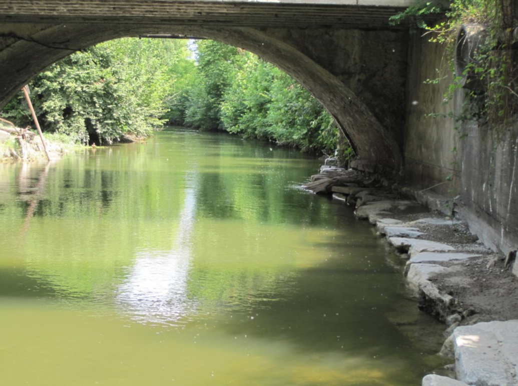 We Need More Ecological Bridges