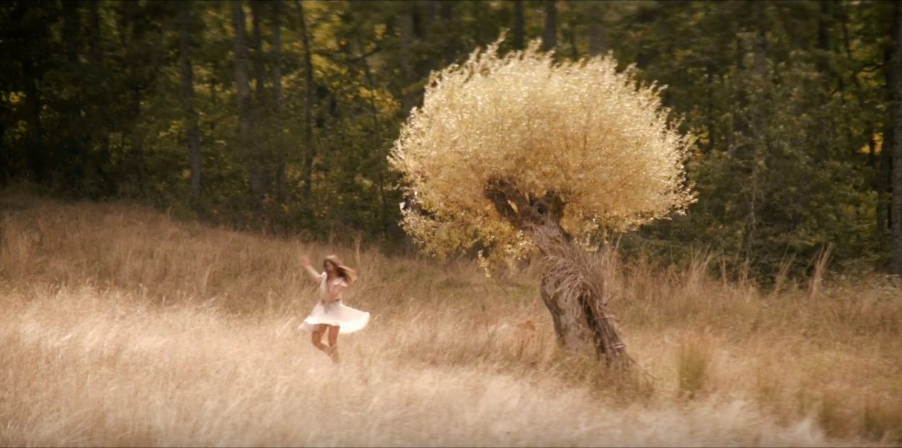 Joe Capalbo Brings Lucania to the US