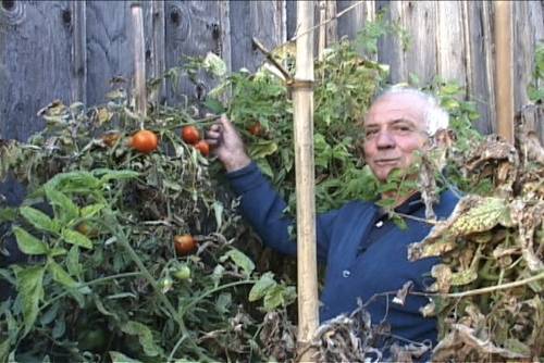A Calabrian Garden in New York